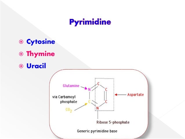 PYRIMIDINE SYNTHESIS