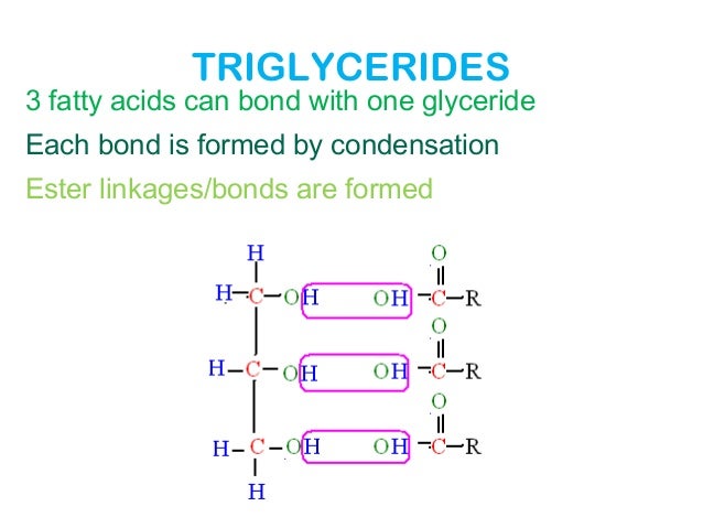 3. lipids