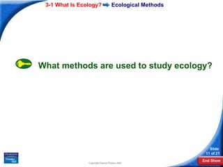 3-1 what is ecology? | PPT