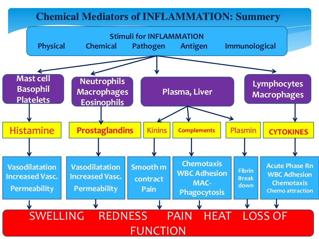 3. inflammation chemical mediators -dr. sinhasan- mdzah