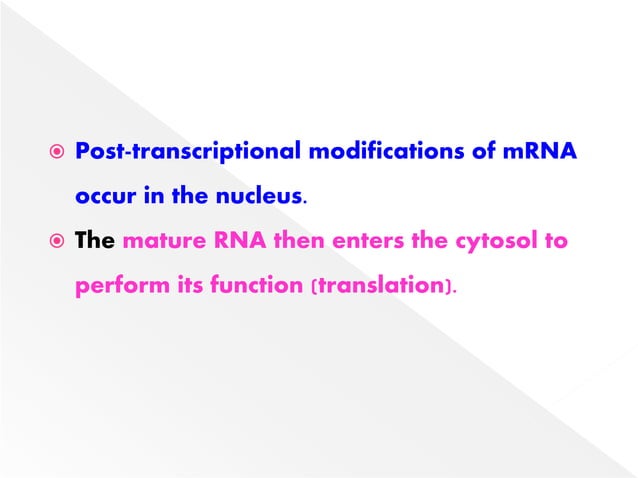 TRANSCRIPTION & POST-TRANSCRIPTIONAL MODIFICATIONS | PPTX