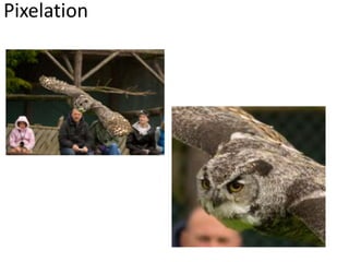 Image Processing Techniques | PPT