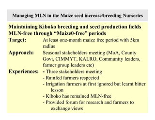 MLN Workshop: Agronomic management of maize lethal necrosis -- S Mugo ...