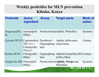 MLN Workshop: Agronomic management of maize lethal necrosis -- S Mugo ...