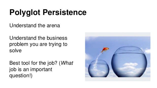 Michael Yarichuk. Polyglot Persistence: From Architecture to Solutions