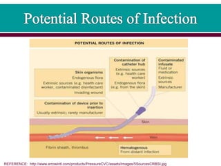 3. central line associated blood stream infection | PPTX