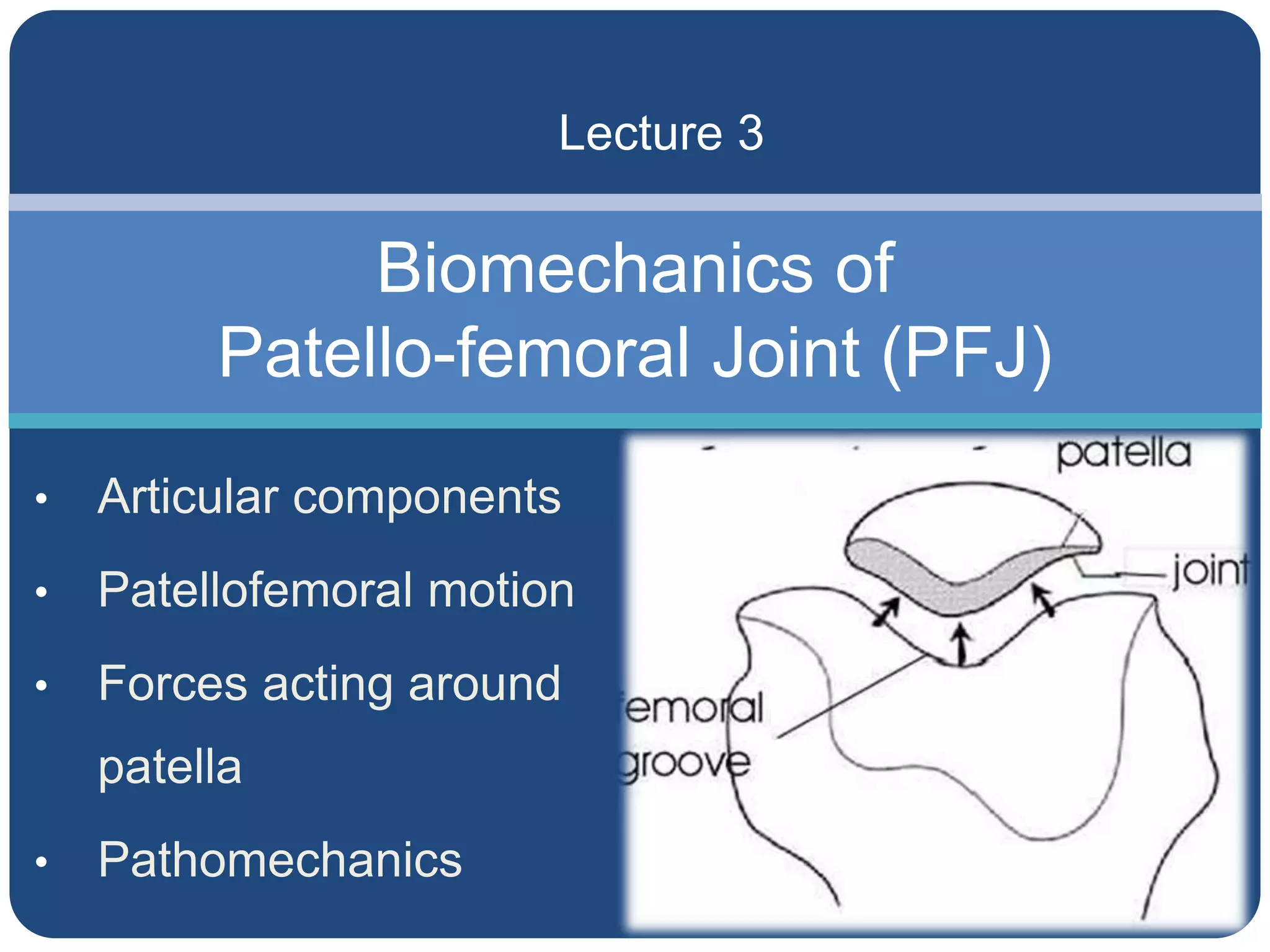 3. biomechanics of Patellofemoral joint | PPTX