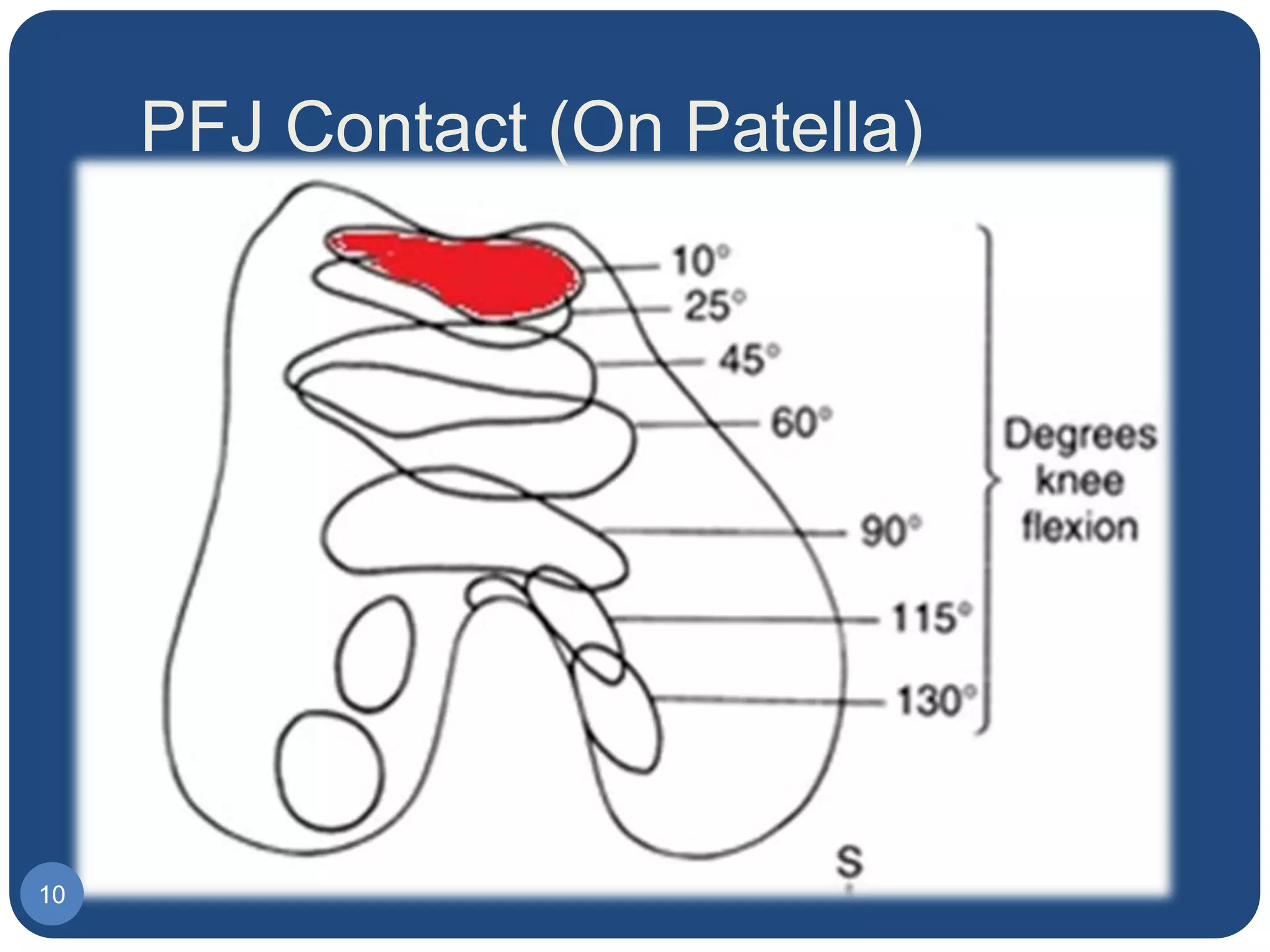 3. biomechanics of Patellofemoral joint | PPTX