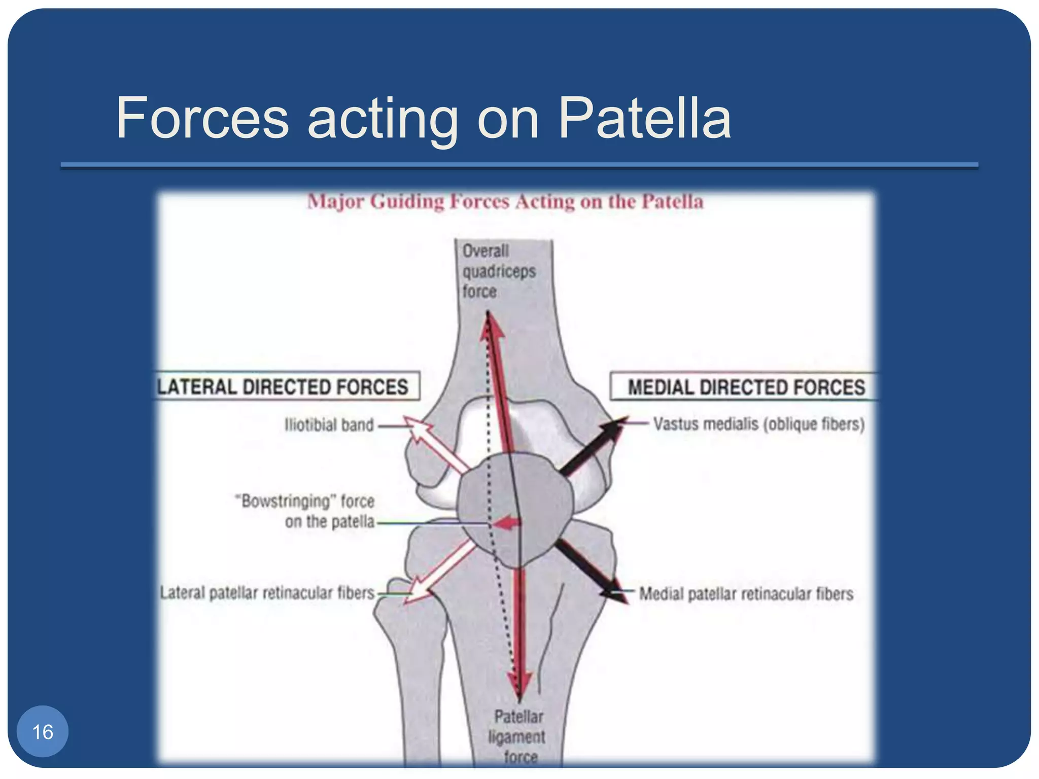 3. biomechanics of Patellofemoral joint | PPTX