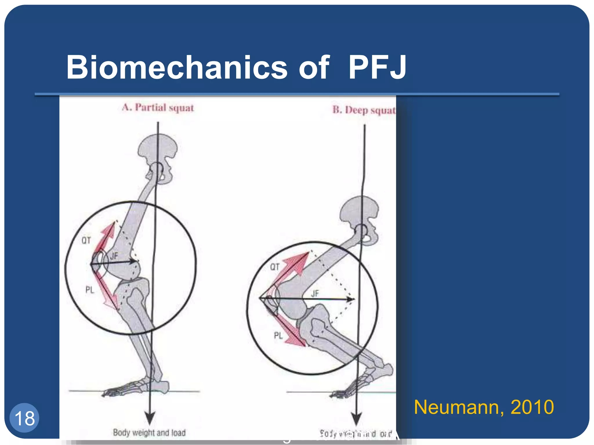 3. biomechanics of Patellofemoral joint | PPTX