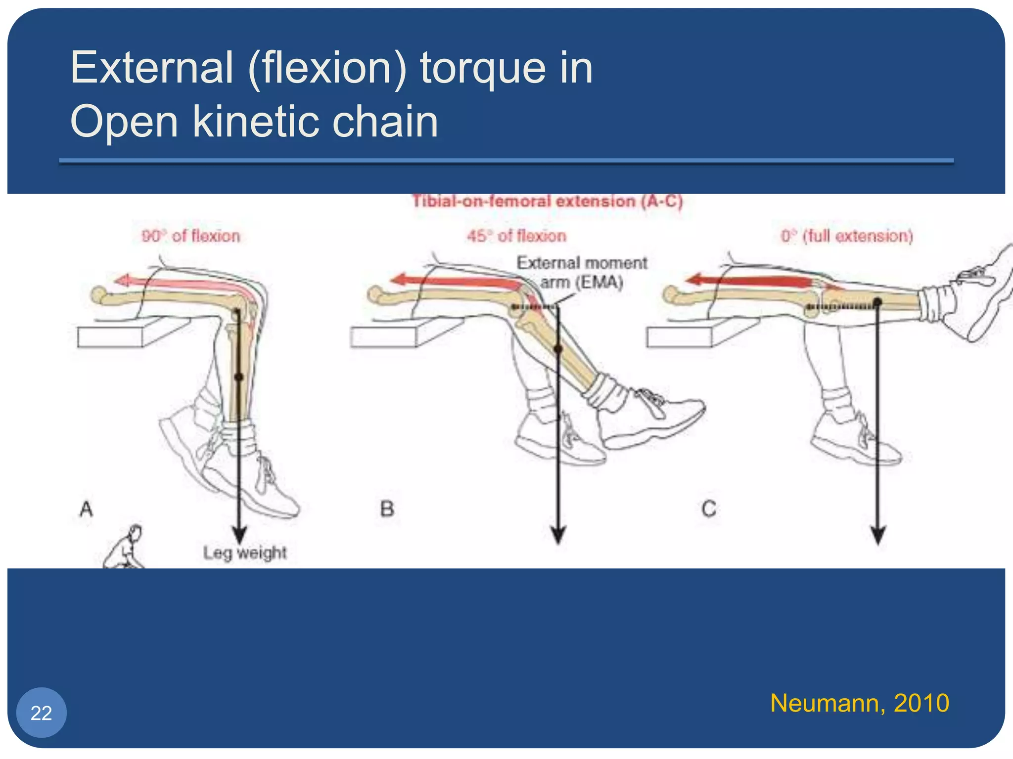 3. biomechanics of Patellofemoral joint | PPTX