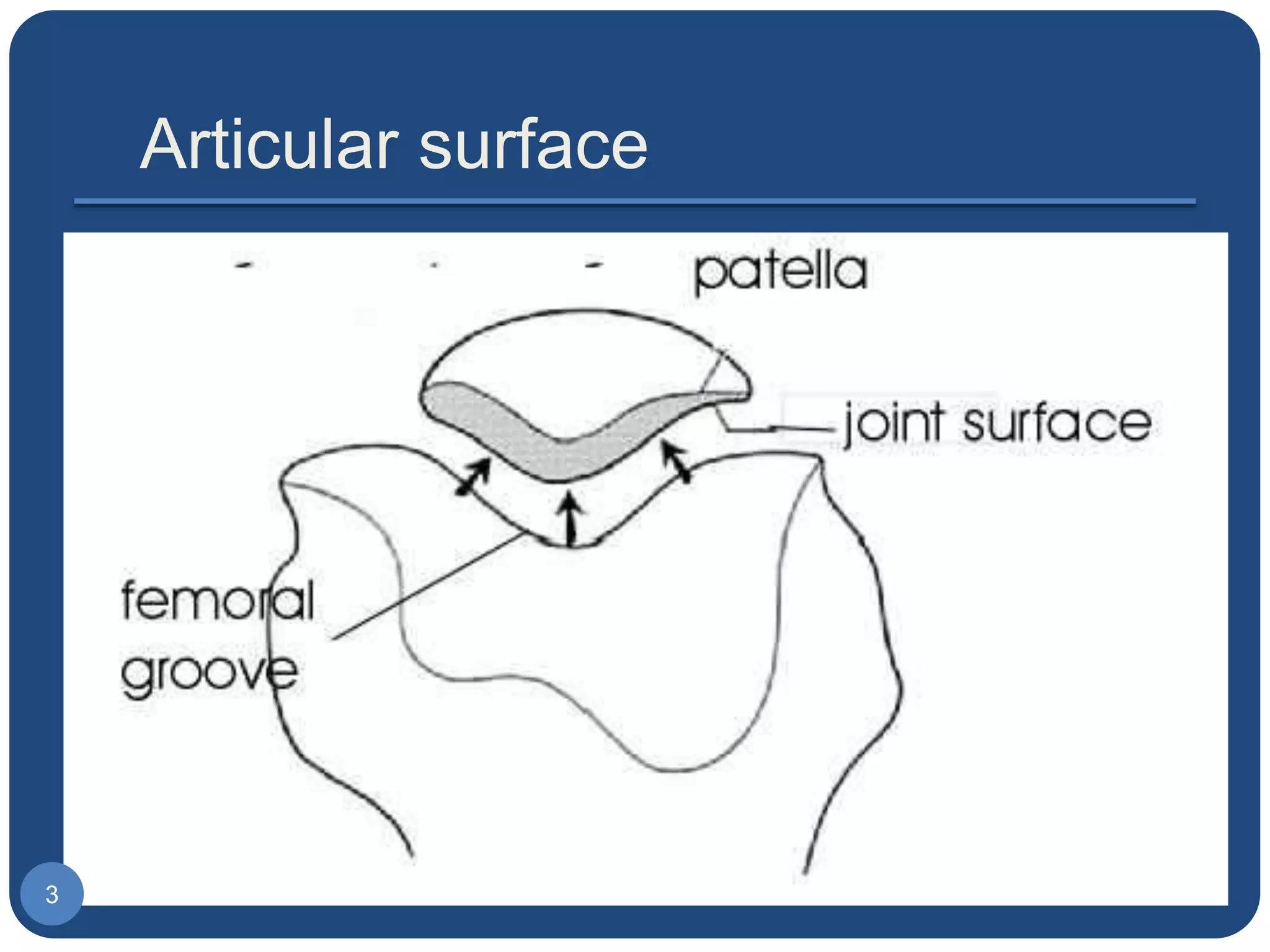 3. biomechanics of Patellofemoral joint | PPTX