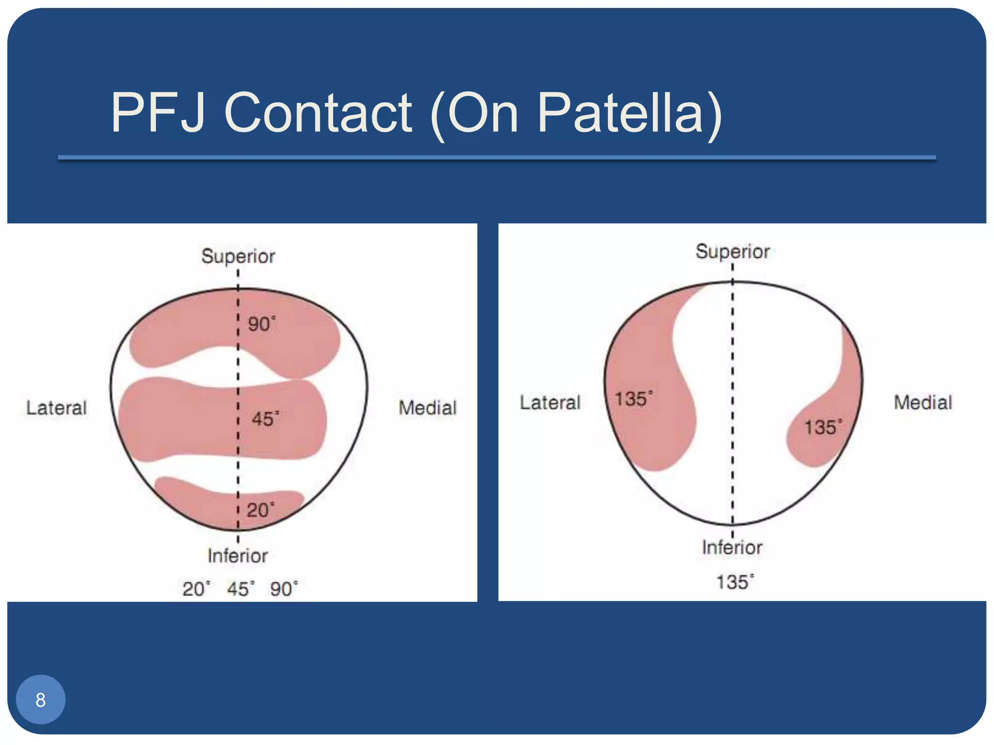 3. biomechanics of Patellofemoral joint | PPTX