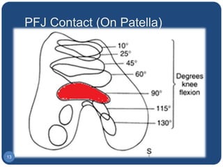 3. biomechanics of Patellofemoral joint | PPTX