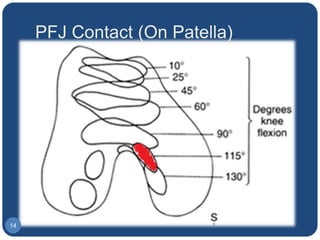 3. biomechanics of Patellofemoral joint | PPTX
