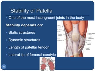 3. biomechanics of Patellofemoral joint | PPTX