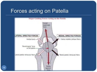 3. biomechanics of Patellofemoral joint | PPTX
