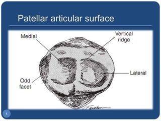 3. biomechanics of Patellofemoral joint | PPTX