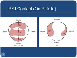 3. biomechanics of Patellofemoral joint | PPTX