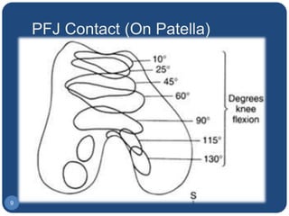 3. biomechanics of Patellofemoral joint | PPTX