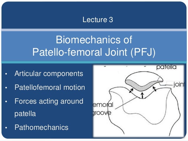 Anatomy Of Patellofemoral Joint Correlating Anatomy And Congruence Of