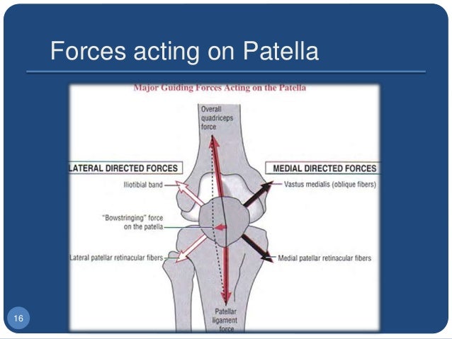 3. biomechanics of Patellofemoral joint