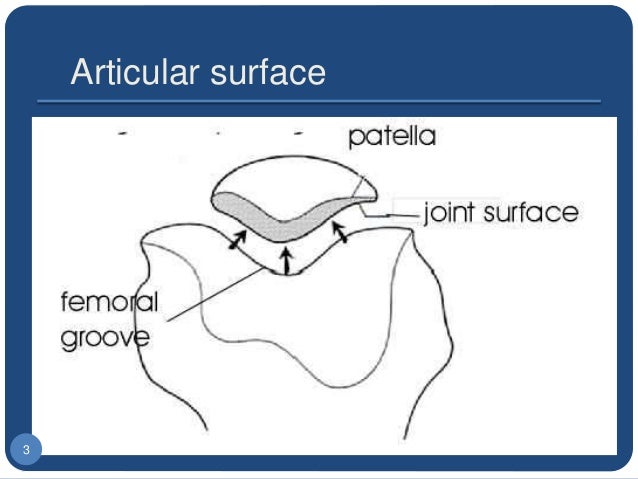 3. biomechanics of Patellofemoral joint