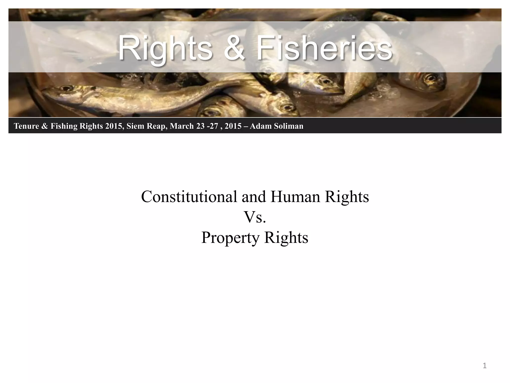 Constitutional and Human Rights Vs. Property Rights by Adam Soliman | PPT