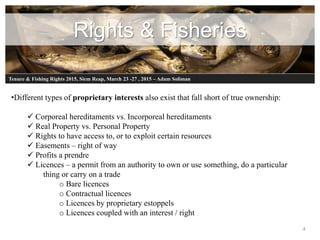 Constitutional and Human Rights Vs. Property Rights by Adam Soliman | PPT