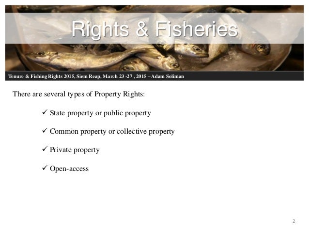 Constitutional and Human Rights Vs. Property Rights by Adam Soliman