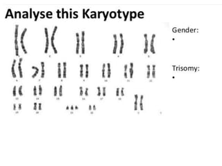IB Biology 3.2 Slides: Chromosomes | PPTX