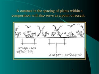 The Elements of Planting Design The Visual Characteristics of Plants | PPT