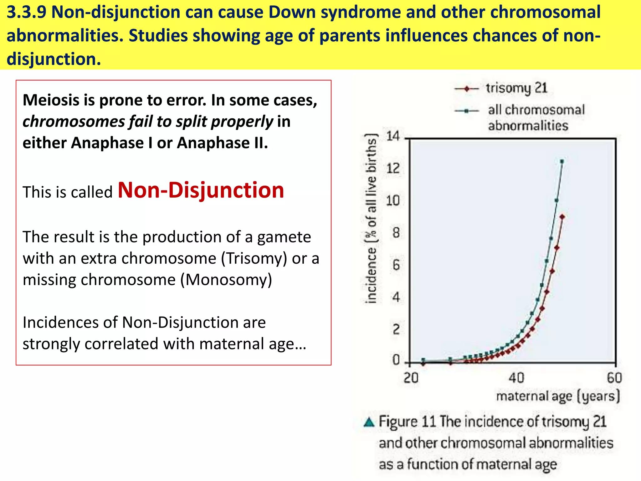 IB Biology 3.3 Slides: Meiosis | PPTX