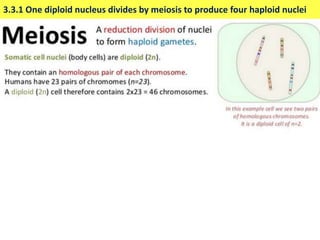 Haploid Biology