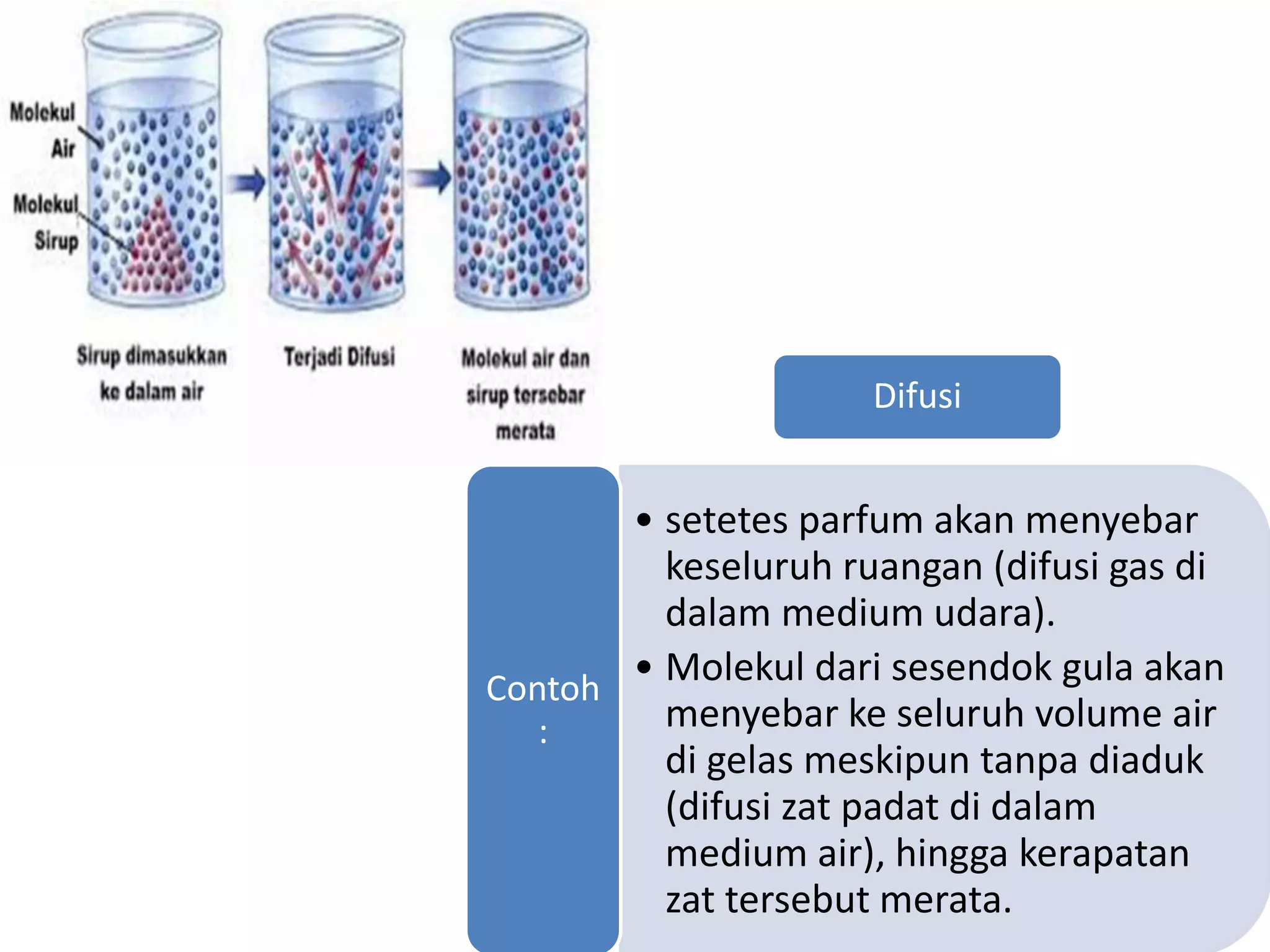 Transport Membran | PPTX