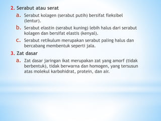 Jaringan Ikat | PPTX