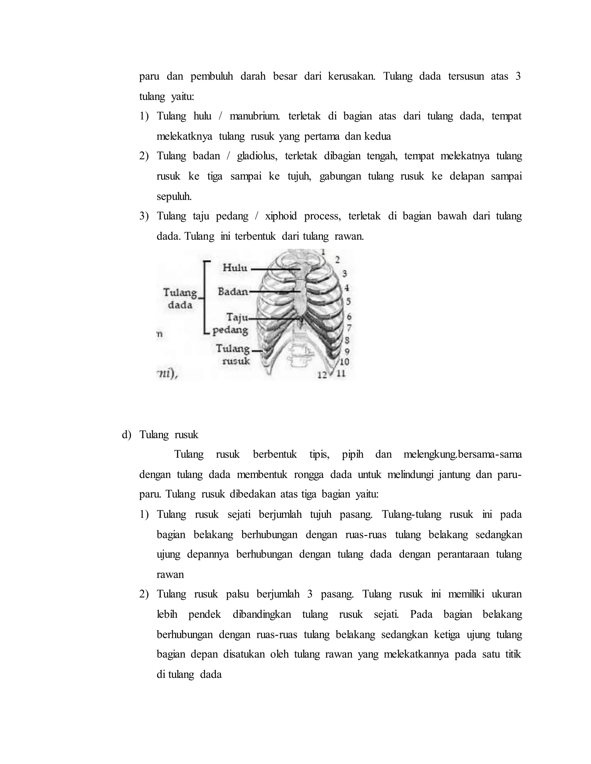 Anatomi rangka (aksial dan apendikular) | DOCX