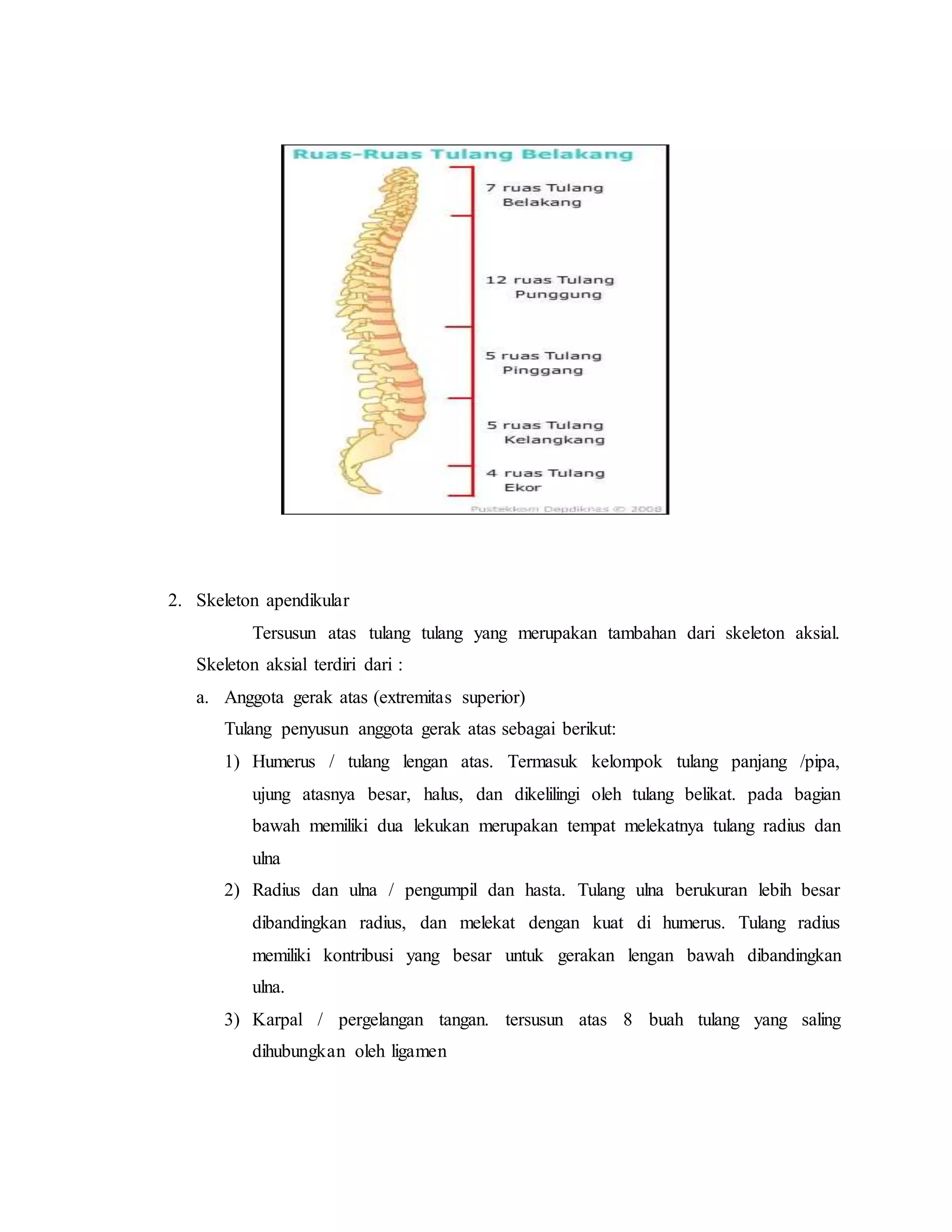 Anatomi rangka (aksial dan apendikular) | DOCX