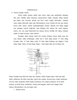 Anatomi rangka (aksial dan apendikular) | DOCX