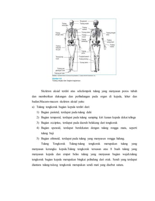 Anatomi rangka (aksial dan apendikular) | DOCX