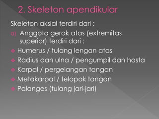 Rangka aksial & apendikular | PPTX