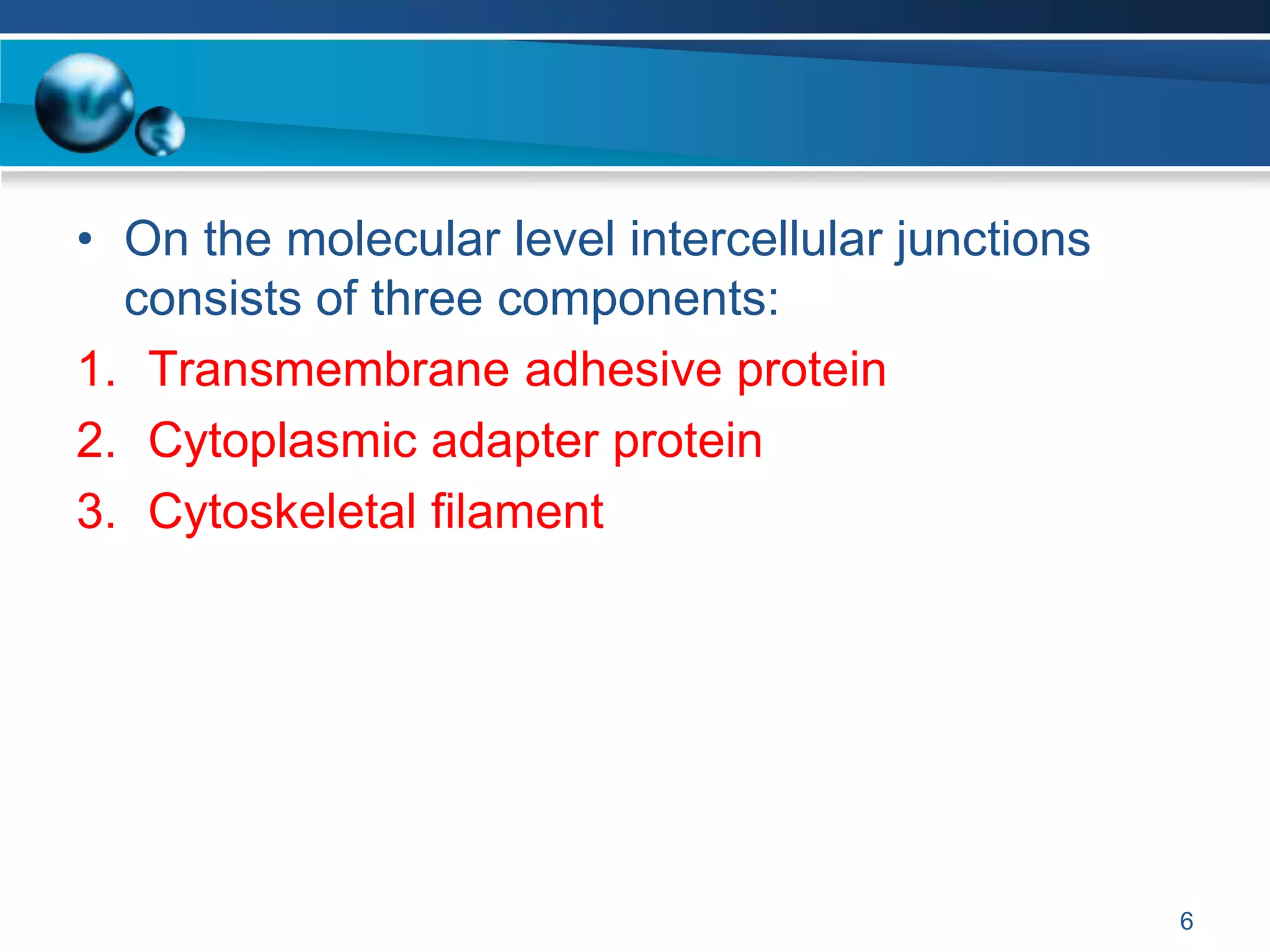 seminar on intercellular junctions | PPTX