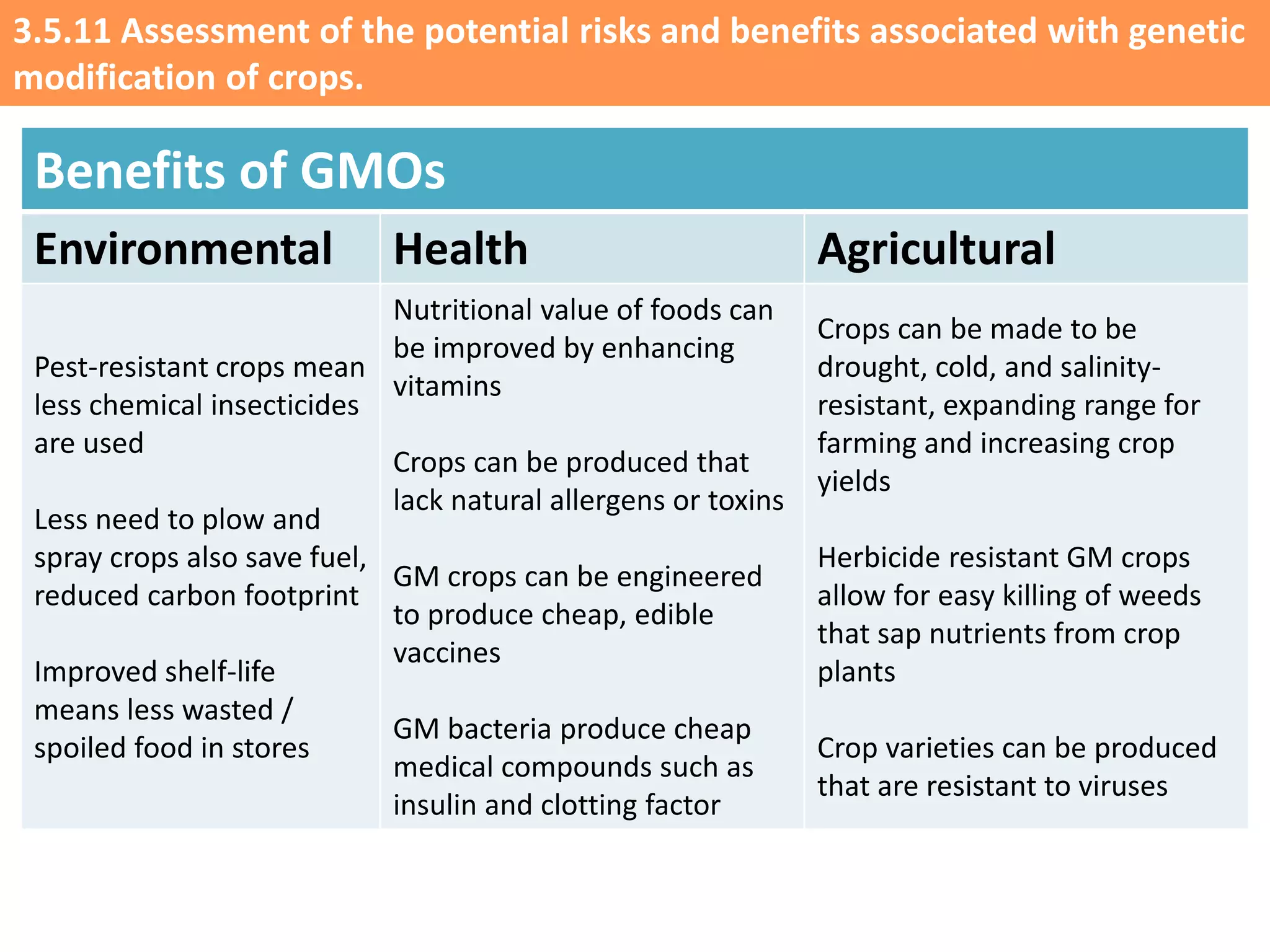 IB Biology 3.5 Slides: Genetic Modification & Biotechnology | PPTX
