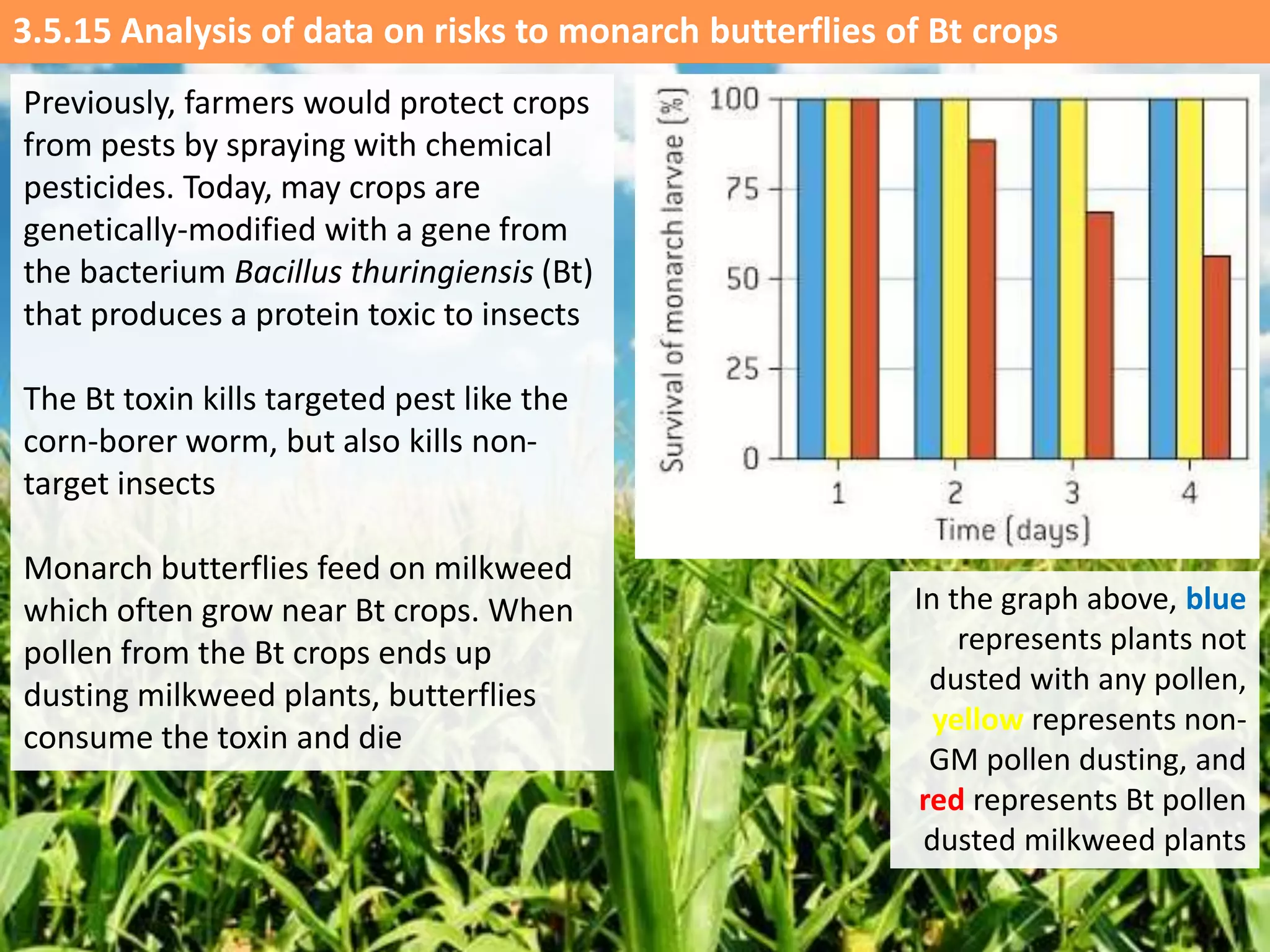 IB Biology 3.5 Slides: Genetic Modification & Biotechnology | PPTX