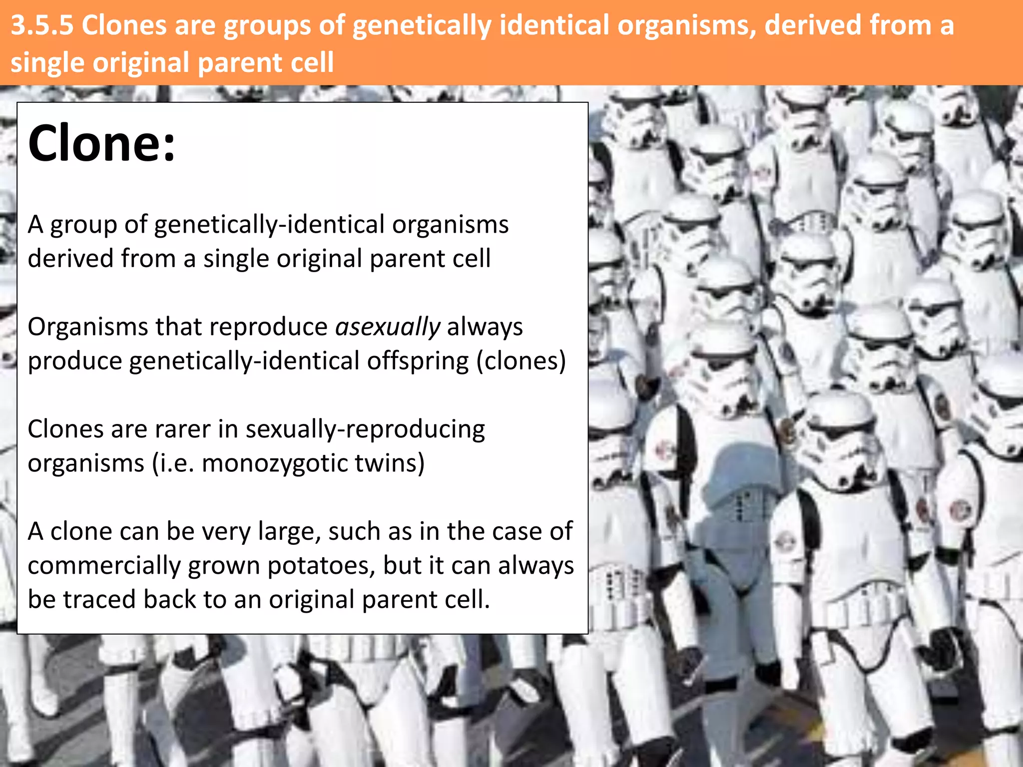 IB Biology 3.5 Slides: Genetic Modification & Biotechnology | PPTX