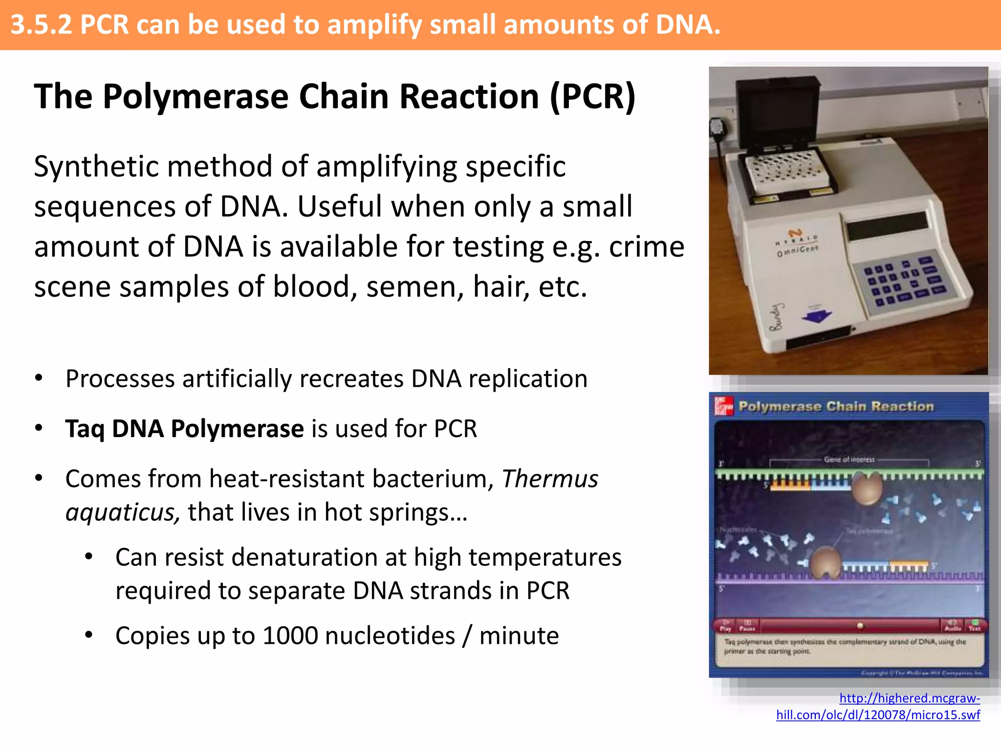IB Biology 3.5 Slides: Genetic Modification & Biotechnology | PPTX