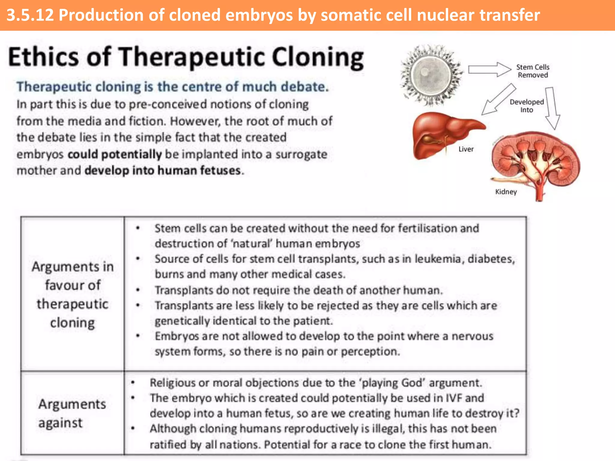 IB Biology 3.5 Slides: Genetic Modification & Biotechnology | PPTX
