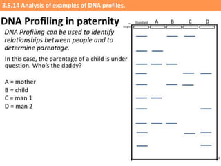 IB Biology 3.5 Slides: Genetic Modification & Biotechnology | PPTX