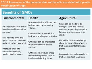 IB Biology 3.5 Slides: Genetic Modification & Biotechnology | PPTX
