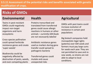 IB Biology 3.5 Slides: Genetic Modification & Biotechnology | PPTX